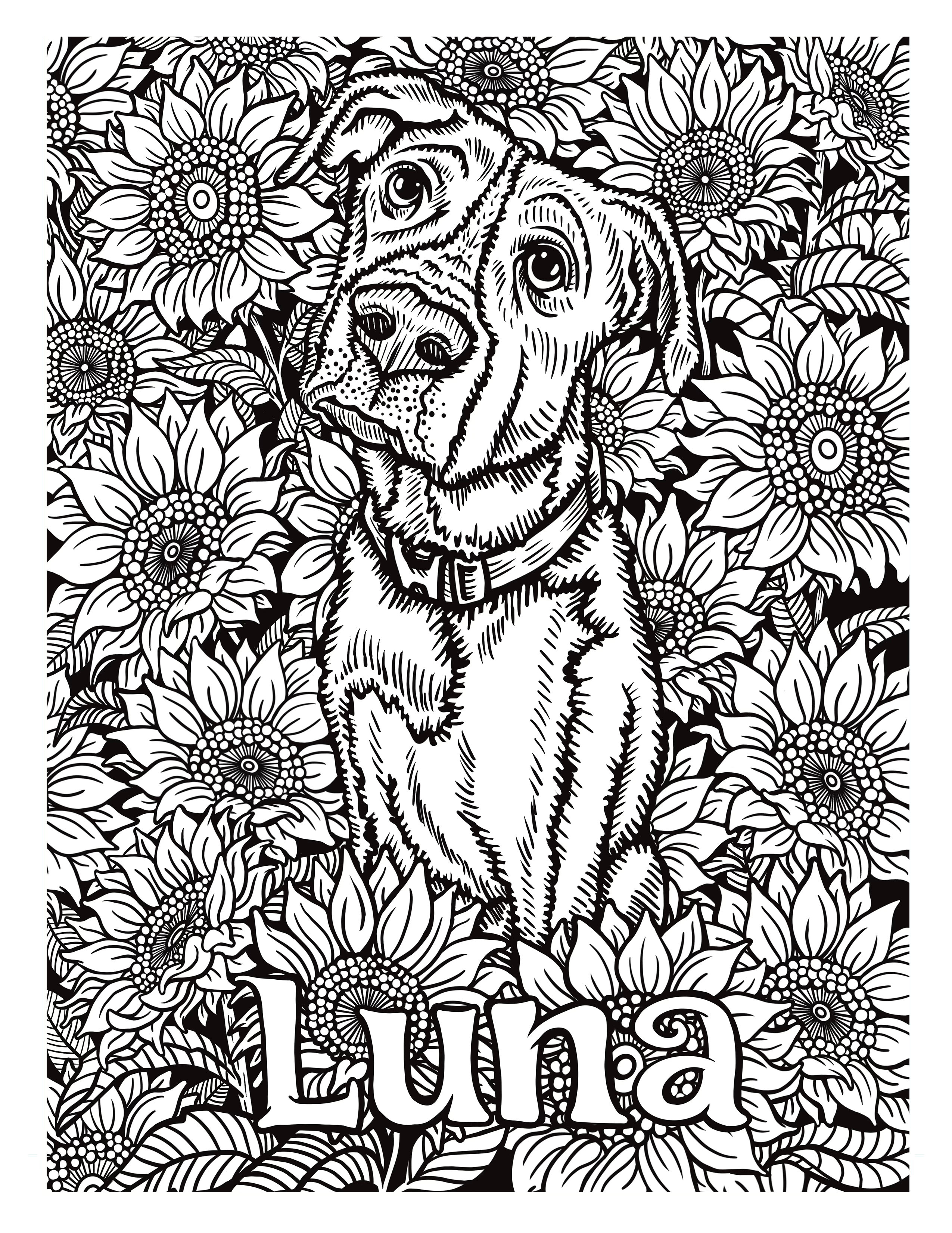 "Colors of Rescue" Coloring Book