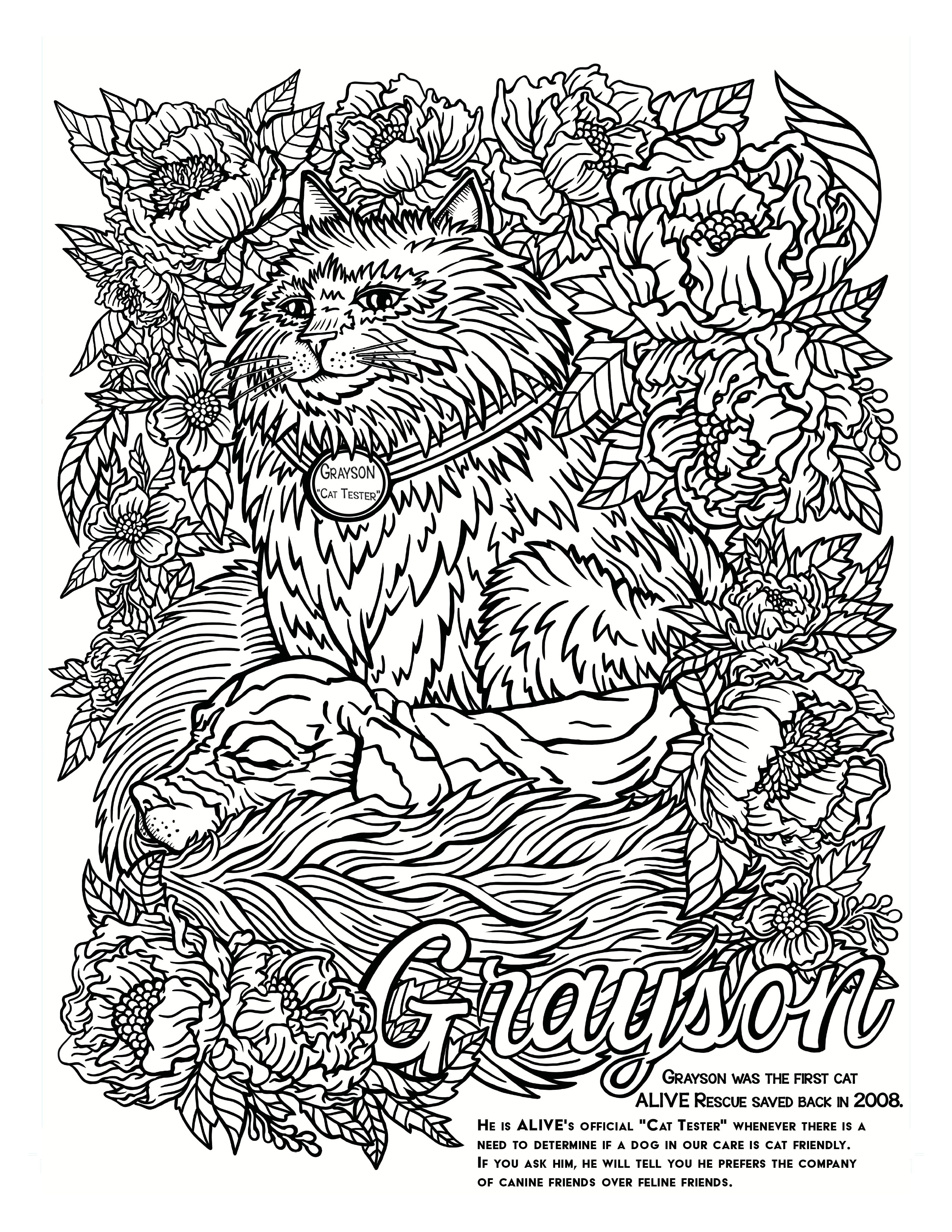 "Colors of Rescue" Coloring Book